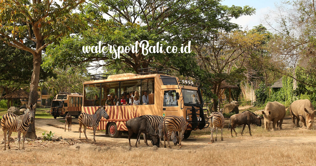 Tiket Bali Safari Marine Park 2024 #Cek Yuk Harga PROMO Domestik! Tiket Bali Safari Marine Park 2024 #Cek Yuk Harga PROMO Domestik!